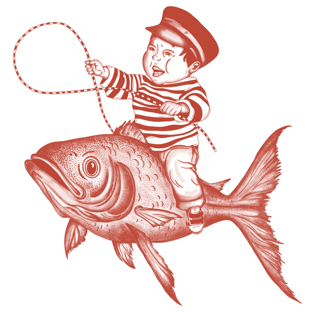 Fishing Charters Melbourne – Sorrento | Mornington Peninsula – Sorrento ...